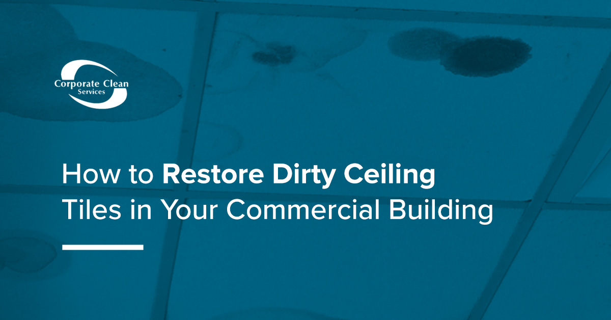 How to Restore Dirty Ceiling Tiles in Your Commercial Building